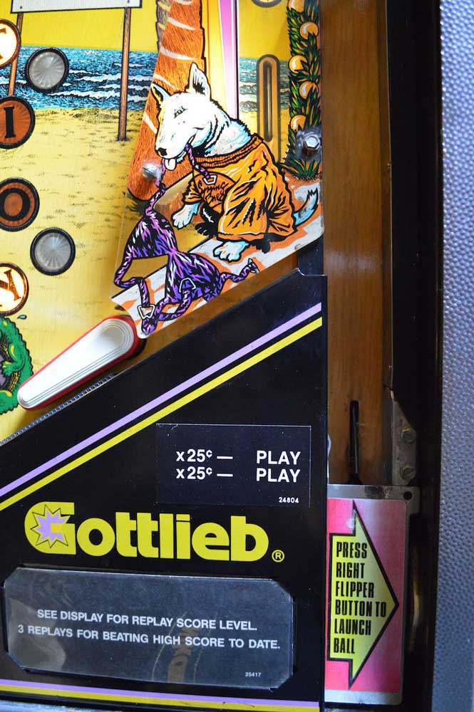 Spring Break Pinball Machine - Game Room Planet